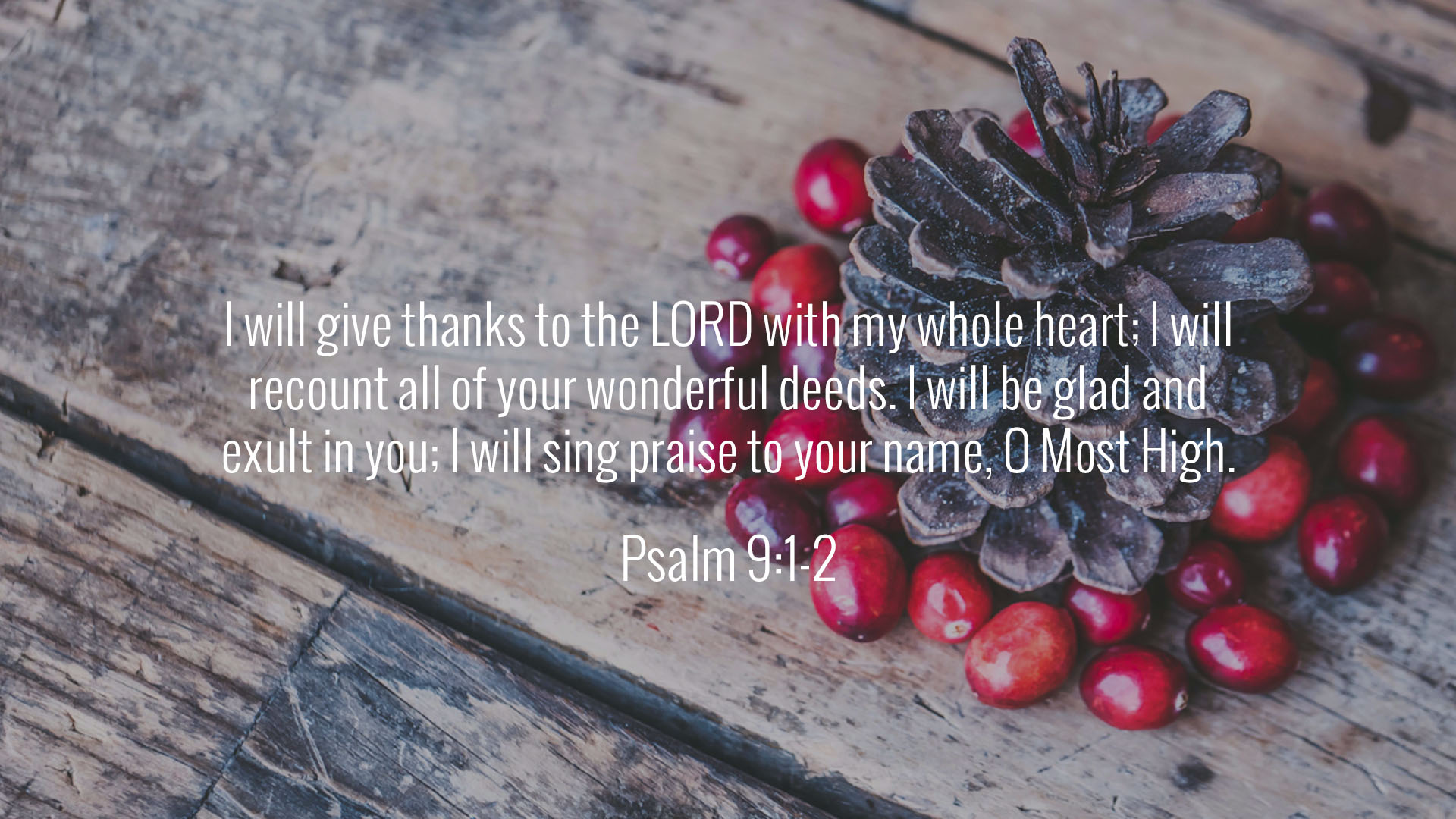 With All My Heart - The Journey with Ron Moore