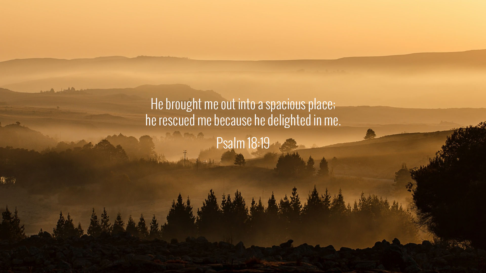 God Delights in You! - The Journey with Ron Moore