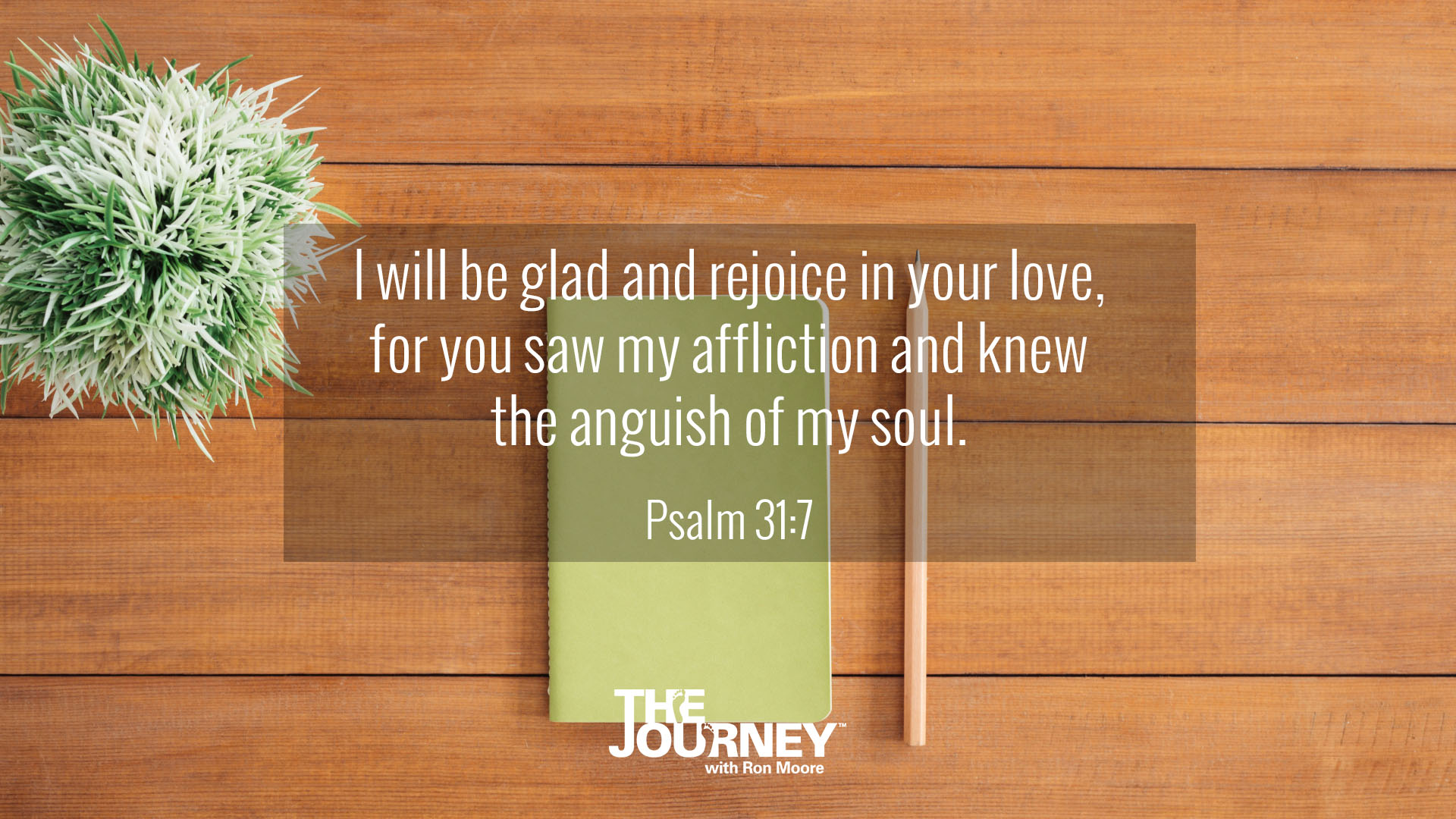 A Spacious Place - The Journey with Ron Moore