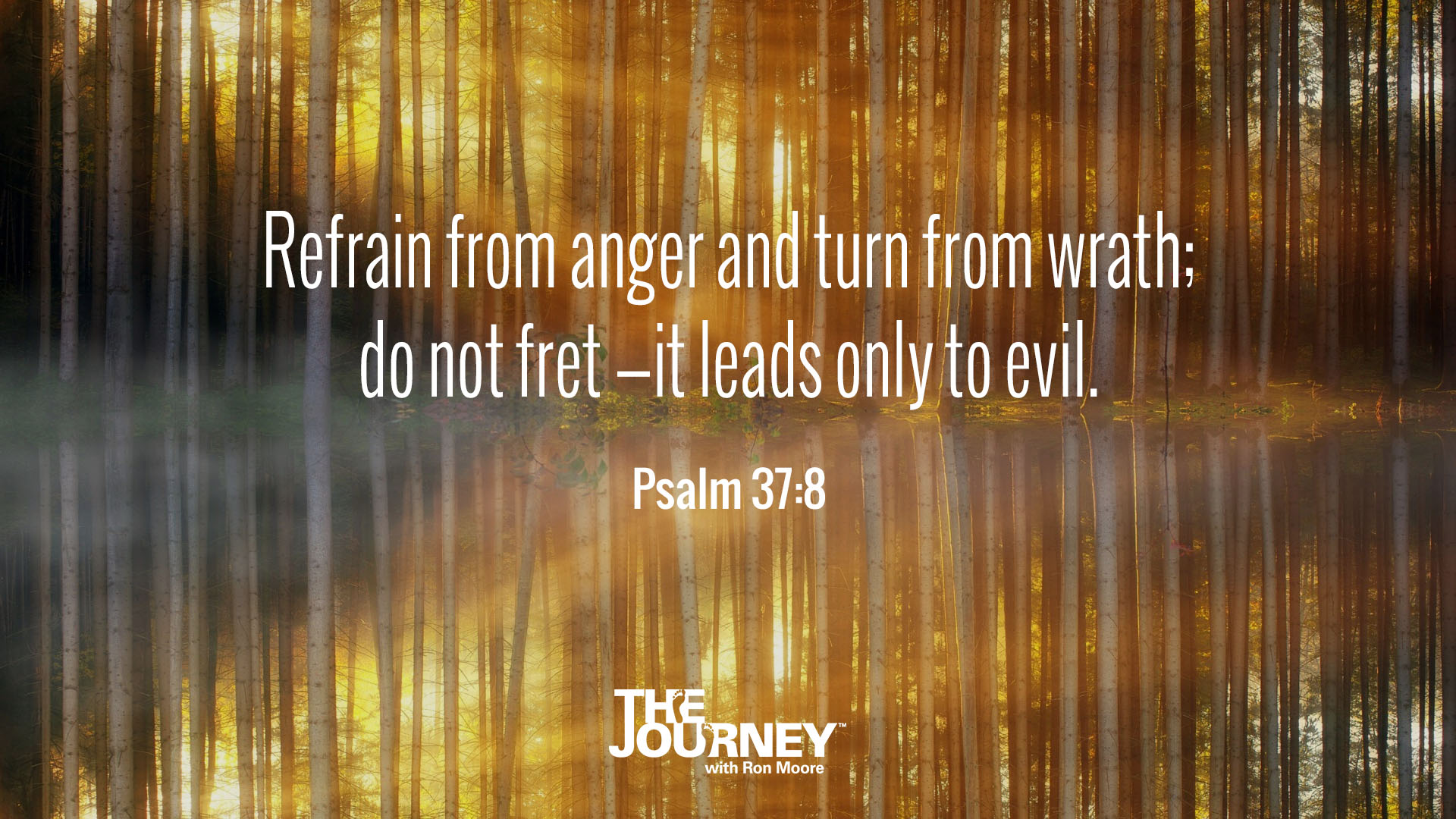 Do Not Fret - The Journey with Ron Moore