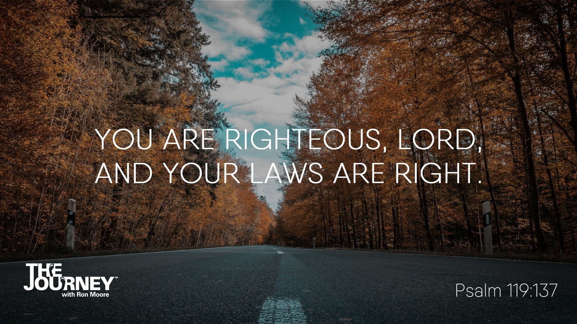 Time Tested - The Journey with Ron Moore