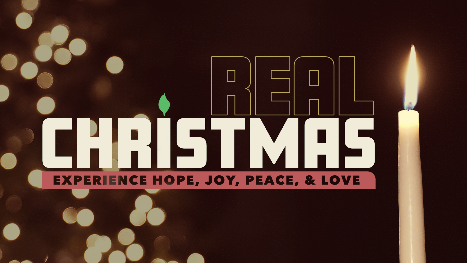 Real Love - The Journey with Ron Moore
