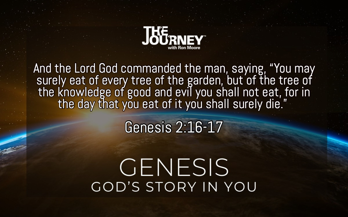Genesis: God's Story in You - The Fall (Part 1) - The Journey with Ron ...
